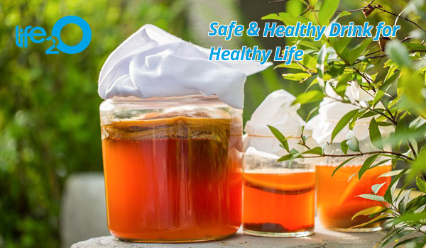 Kombucha pH Test Strips - life2O Test Strips